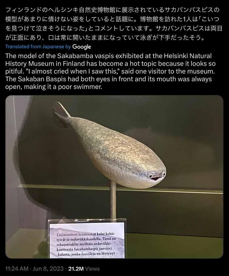 why is this fish so fucked up | Fandom