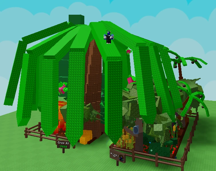 This might become the biggest dragonfruit tree... | Fandom