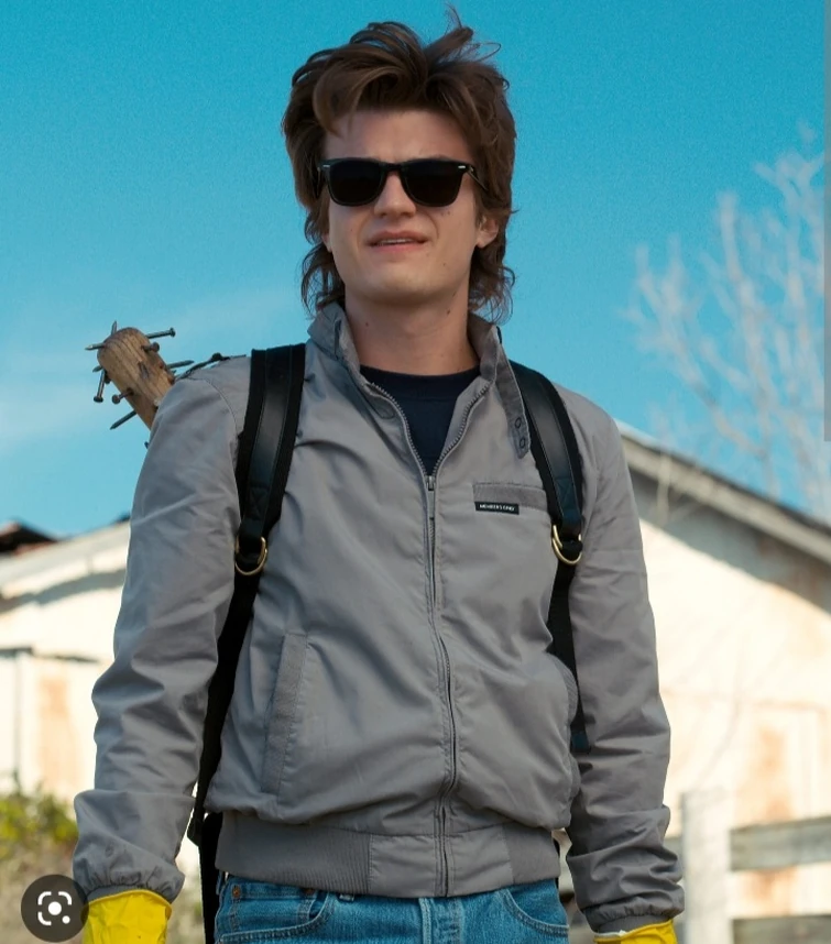 Which version of steve is ur favorite | Fandom