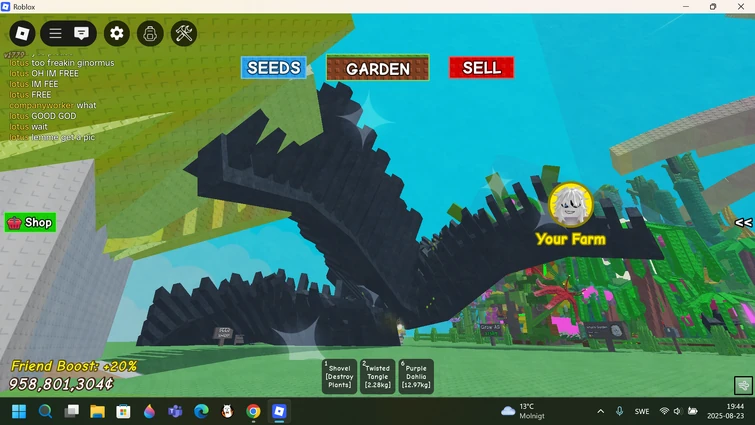 biggest taco fern? | Fandom