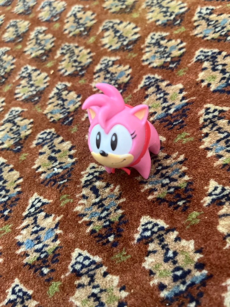 Amy’s head | Fandom