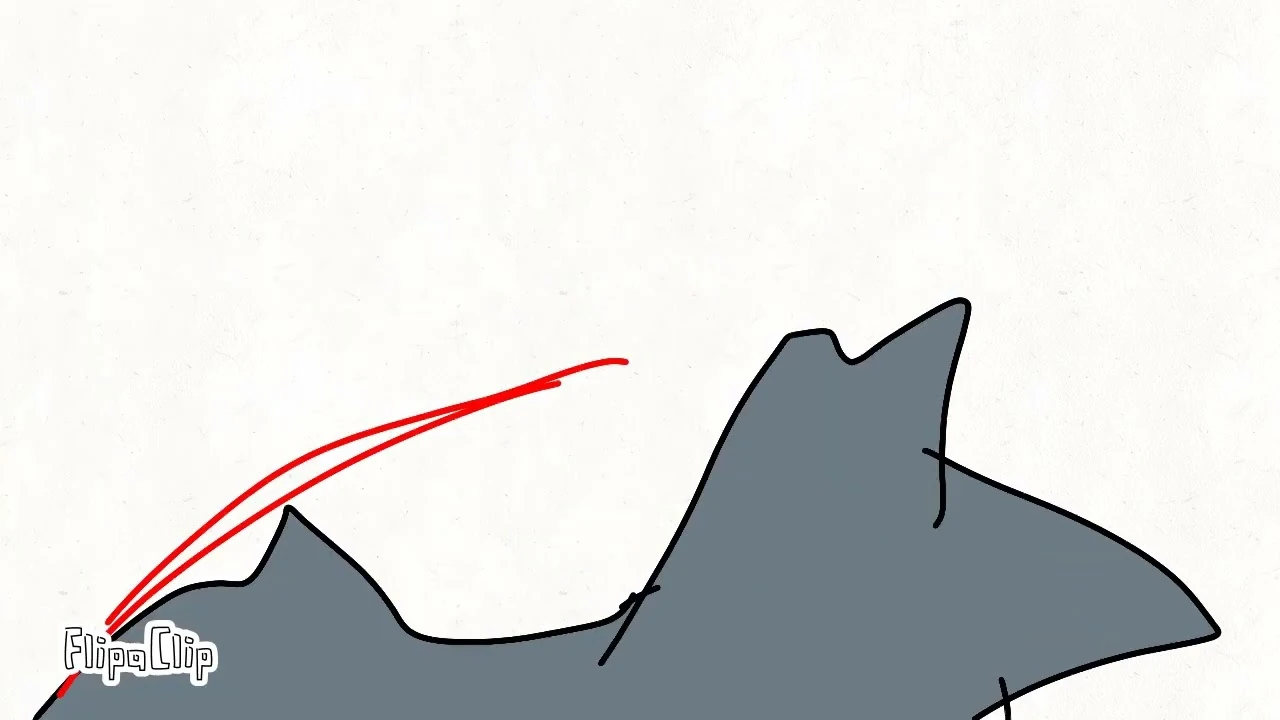 Animation Work in Progress! | Fandom