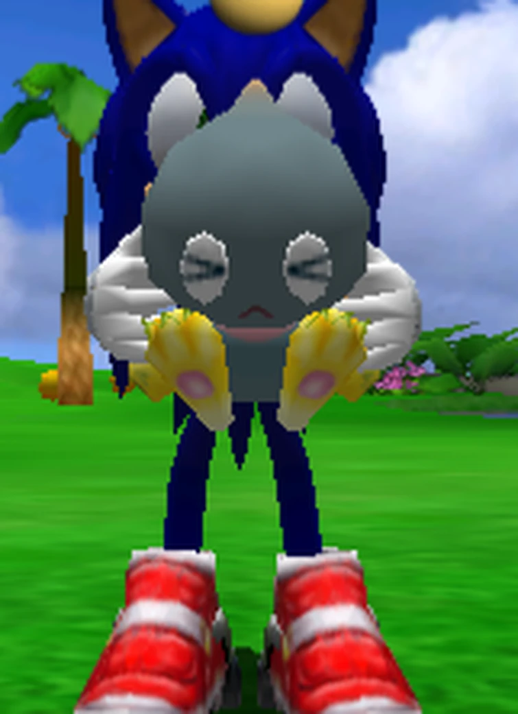 Why is my chao getting darker SA2B | Fandom