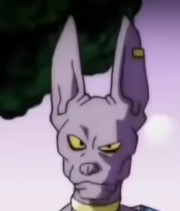 real DBS frame | Fandom