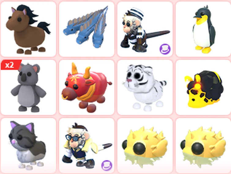 Discuss Everything About Adopt Me! Wiki | Fandom