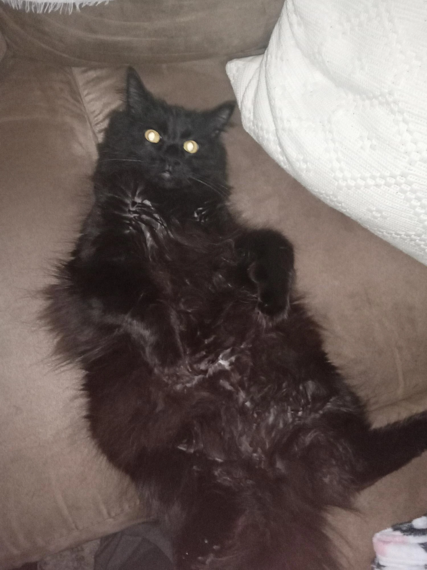 I found this Godzilla minus one analog horror | Fandom