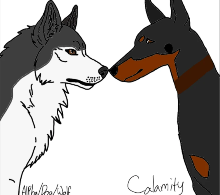 Discuss Everything About Survivors by Erin Hunter Wiki | Fandom