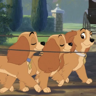 Disney Dogs #8. Who is the best dog? | Fandom