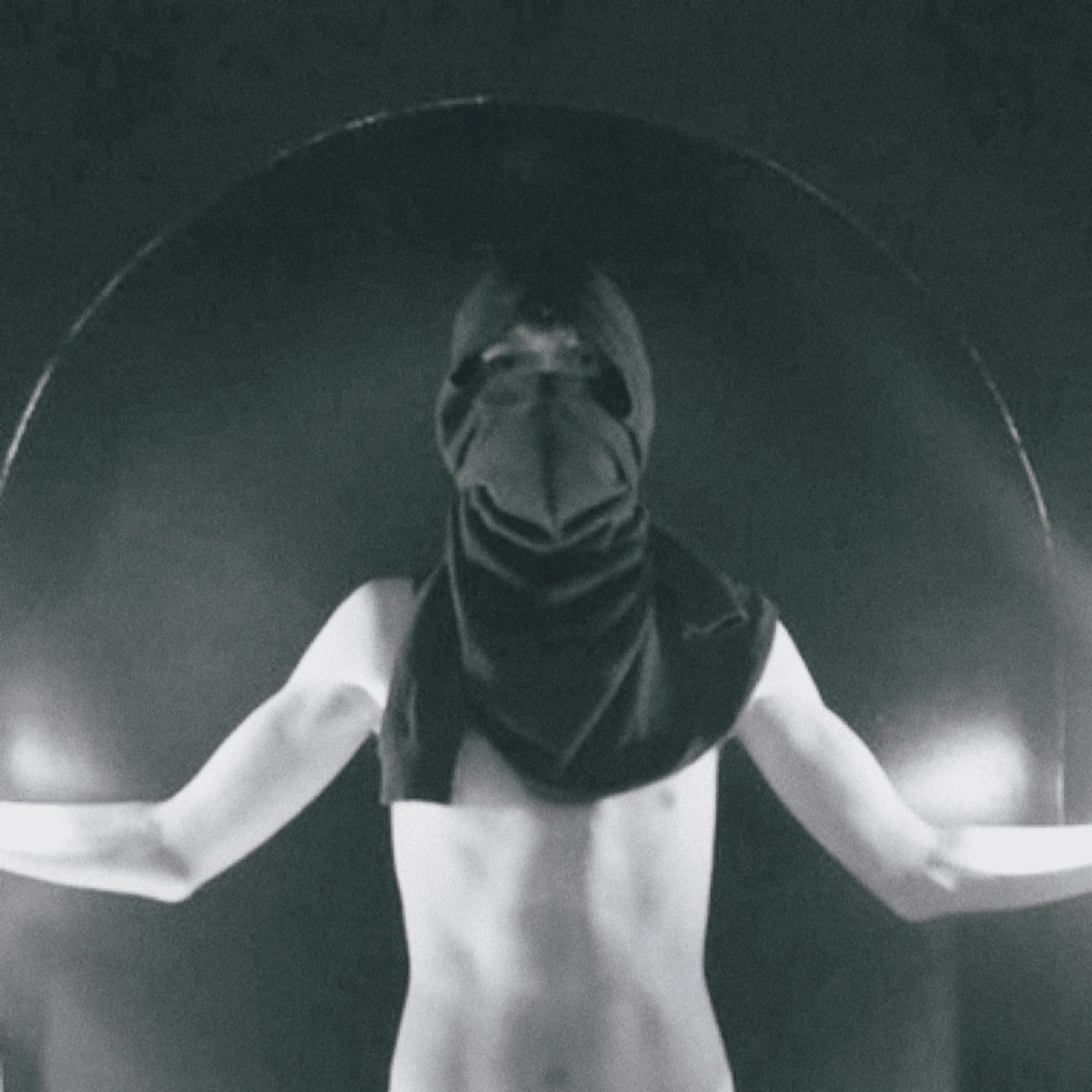 THE JARL | 2hollis Wiki | Fandom