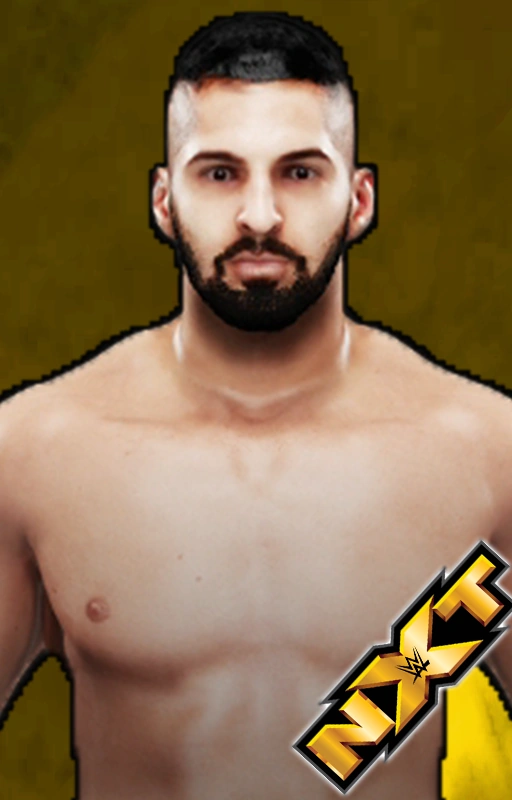 Ariya Daivari | GreshDigiGames Wiki | Fandom