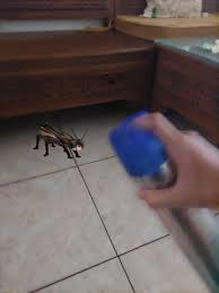 ITS BACK D: (FR THIS TIMEEE!!) | Fandom