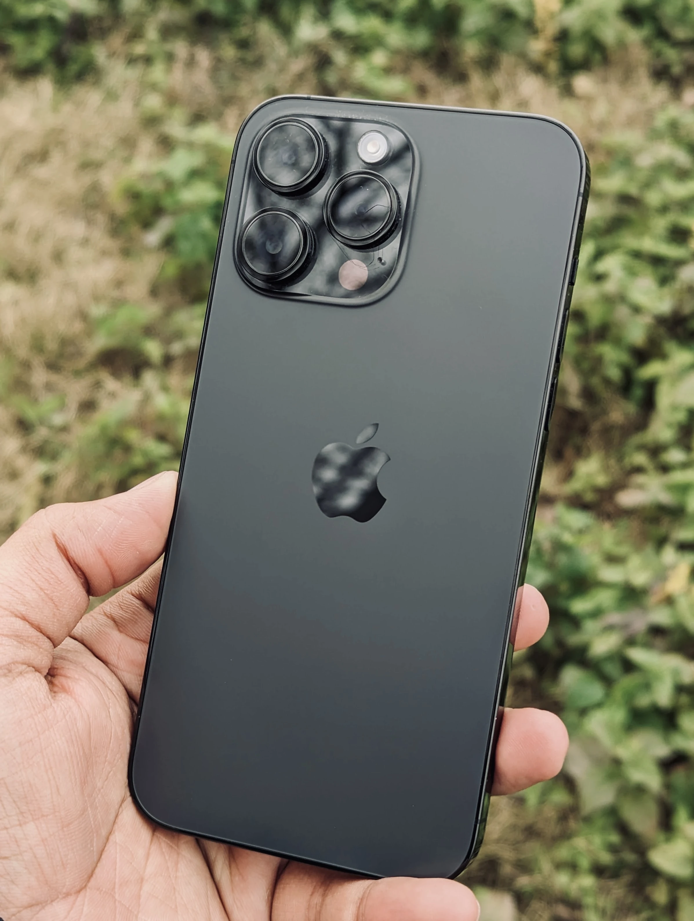 To prove that GV wiki users will literally argue over anything | Fandom