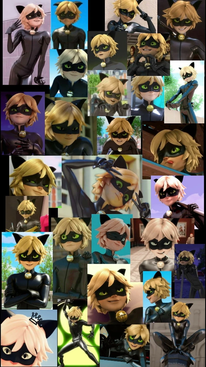 Chat Noir is so cute!! | Fandom