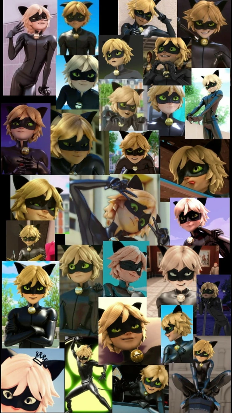 Chat Noir is so cute!! | Fandom