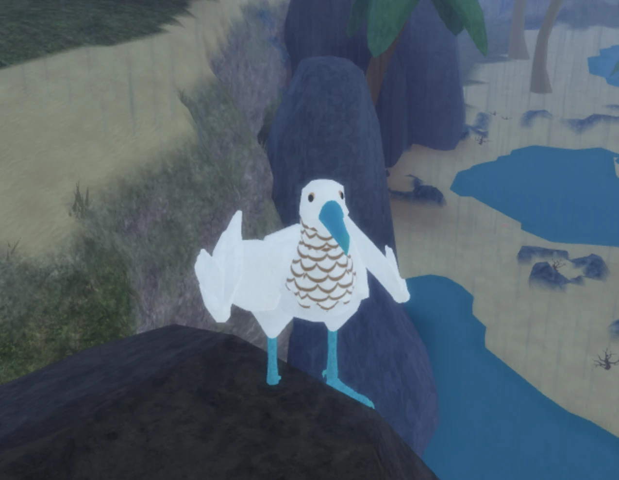 Blue-footed Booby | Fandom