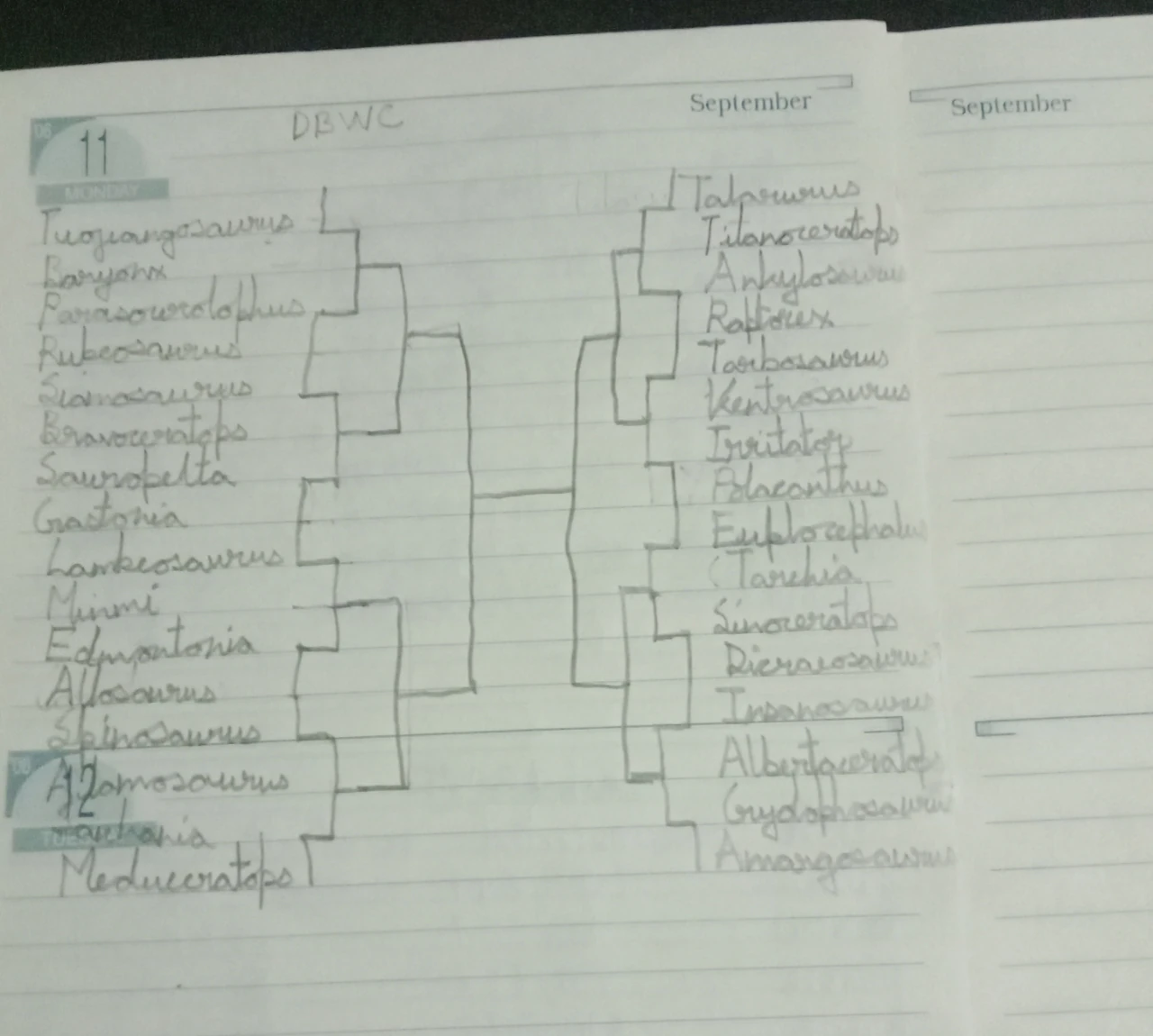 My own DBWC season 2 list | Fandom
