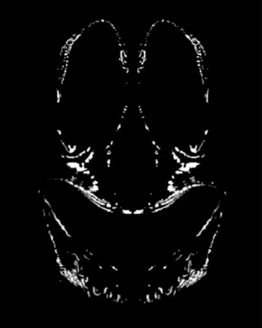 Which PHASE 50 CLONE is the BEST out of all these???? (if u had to pick ...