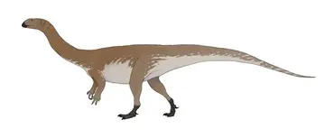 Discuss Everything About Dinopedia | Fandom