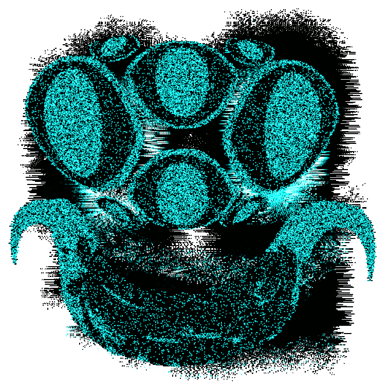 xxe-60 real??? | Fandom