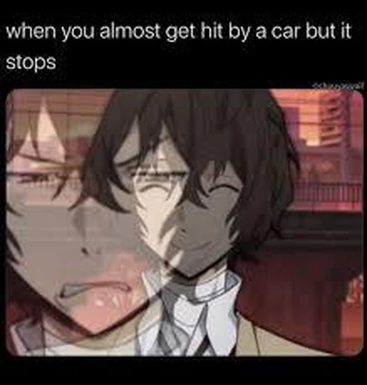 DAILY DOSE OF BSD MEMES 7 | Fandom