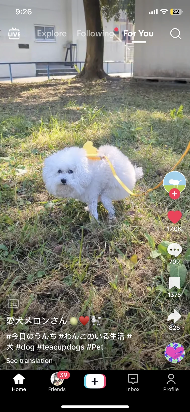 HELP AJKSJEIEK IM CRYINHG WHAGTID TAHRT | Fandom