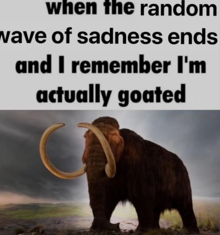 Sol's RNG Wiki Megathread | Fandom