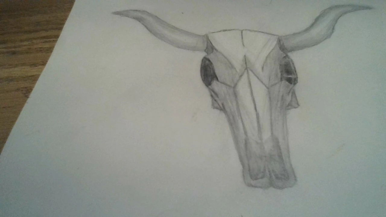 Drew a cow skull ;-; | Fandom