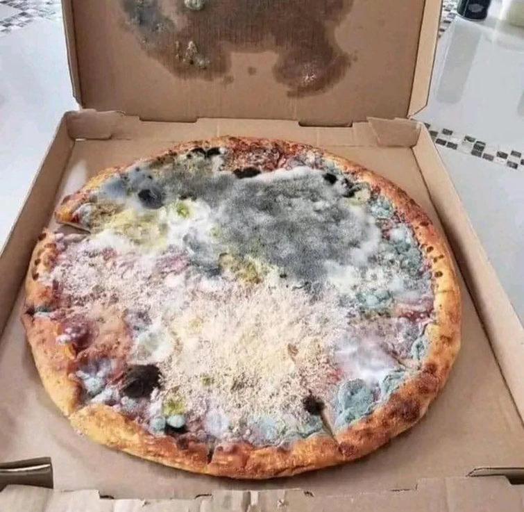 pizza (blue cheese edition) | Fandom