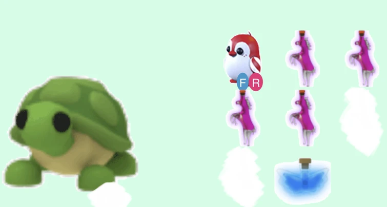 Lf turtles | Fandom