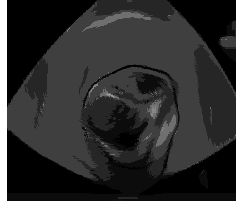 THE SPIRAL SHALL TWIST TO REVEAL THE TRUTH | Fandom