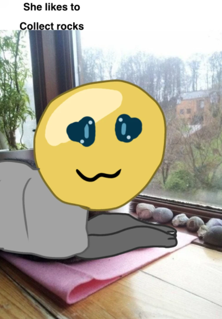 send me memes | Fandom