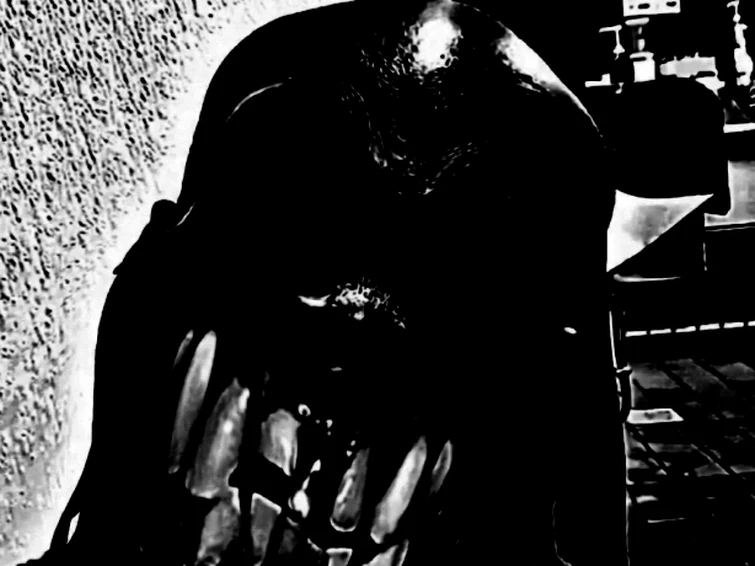 Guess these 10 phases origins | Fandom