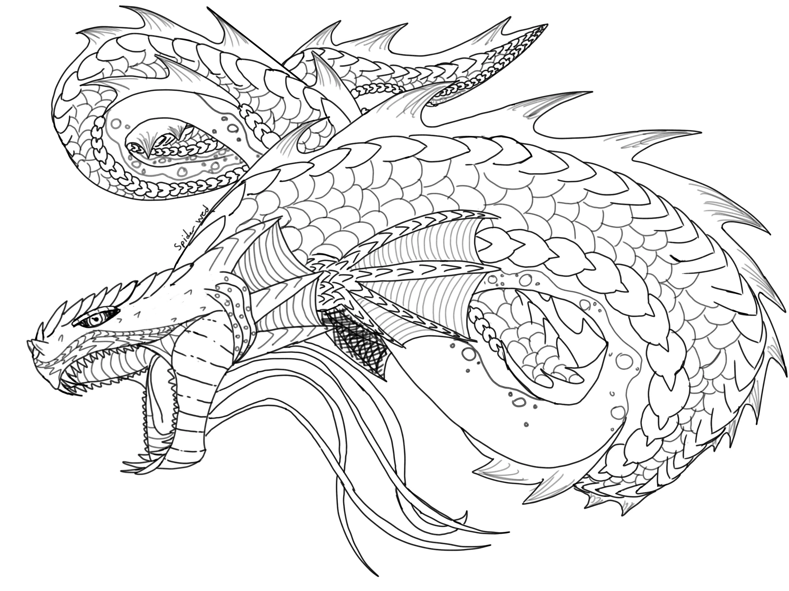 Dracopedia, sea orcs outline | Fandom