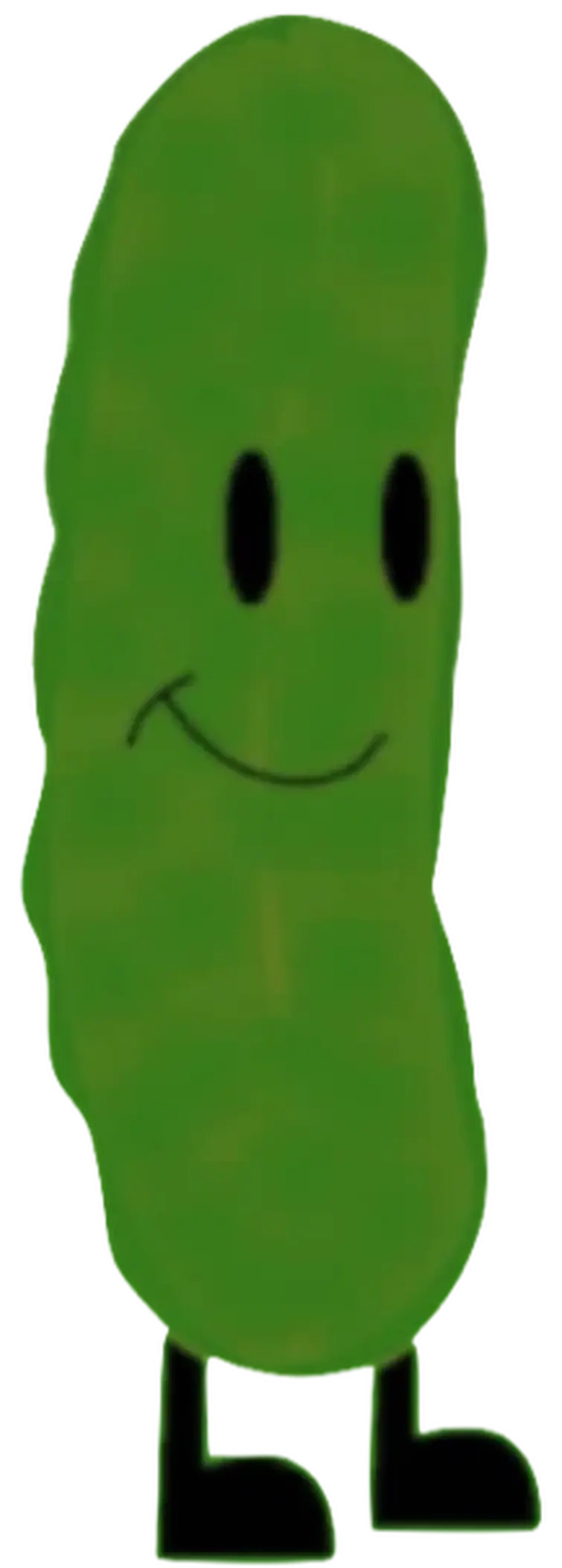 you FORGOT the PICKLES! | Fandom