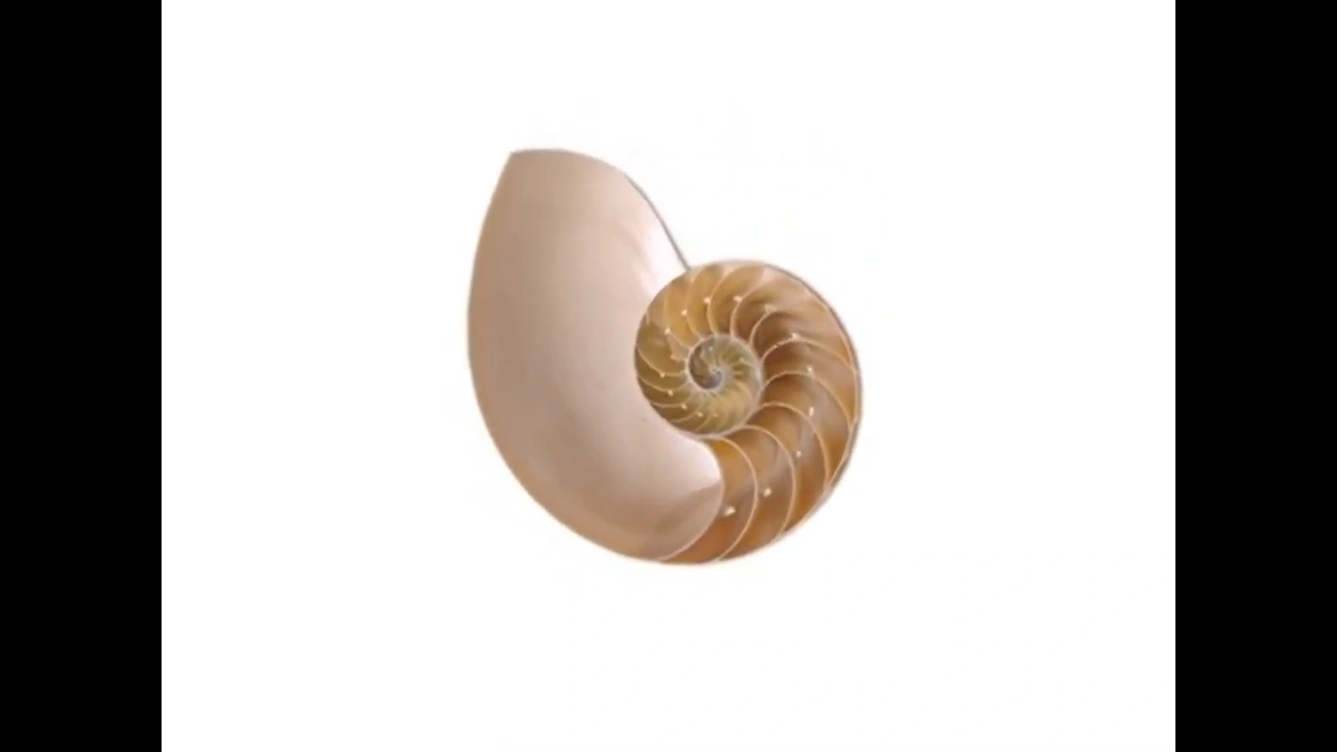 What is the source of this photo? | Fandom