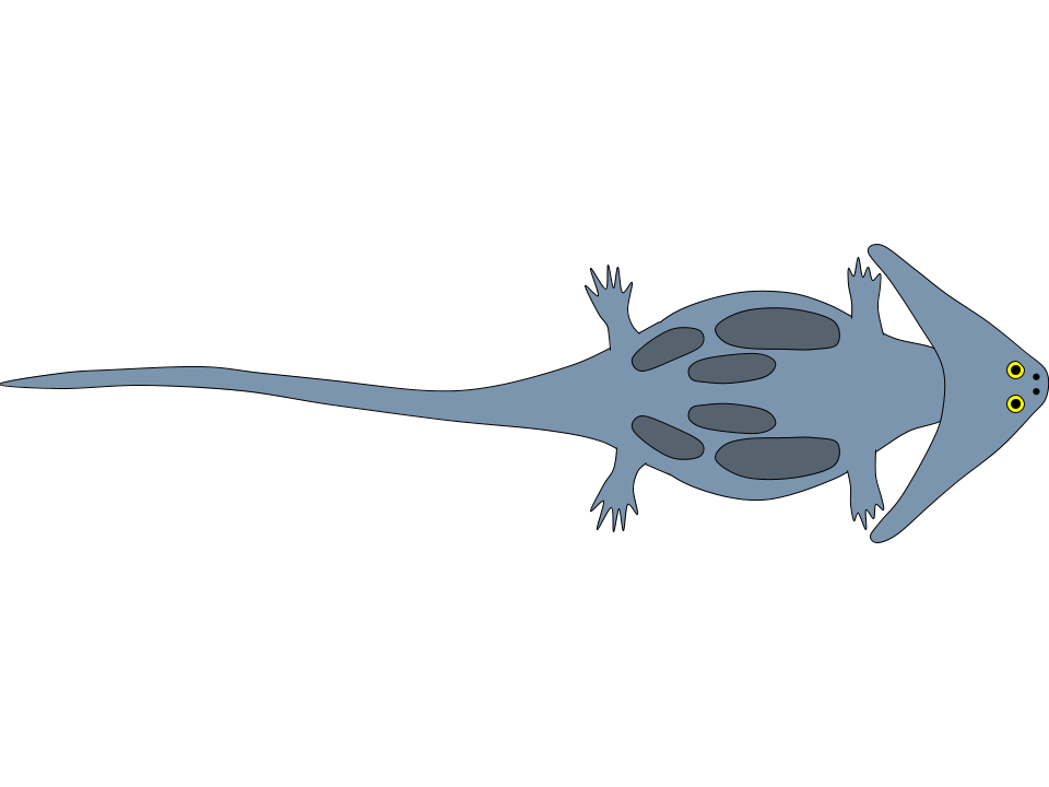 Diplocaulus | Fandom