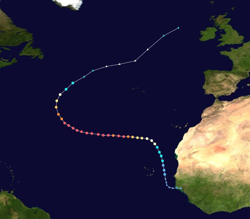 Do you ever dream about tropical cyclones? | Fandom