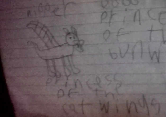 My sis drew stuff | Fandom