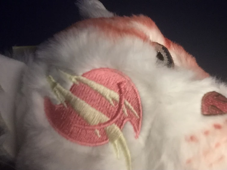 SHES HERE 🎉🎉🎉 | Fandom