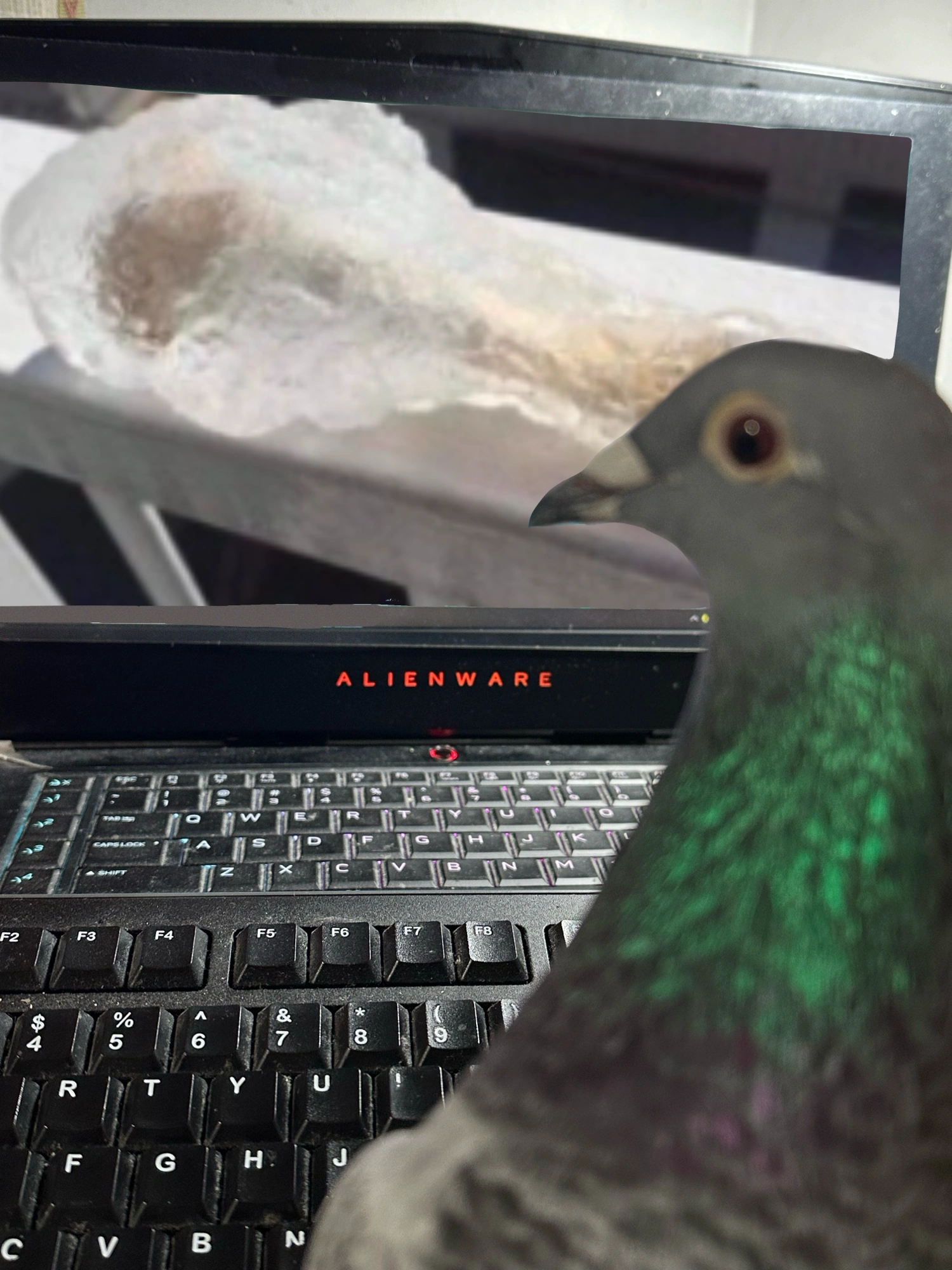 How I feel playing playing Cold War mini game with no sound on | Fandom