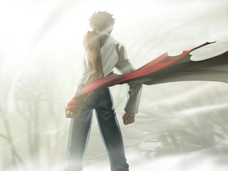 Shirou Emiya Rework | Fandom