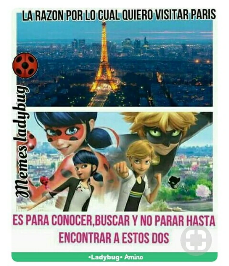 Jajajja lo mismo quiero hacer......jjaj | Fandom