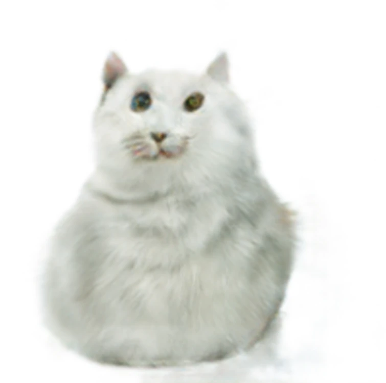 funne cat | Fandom