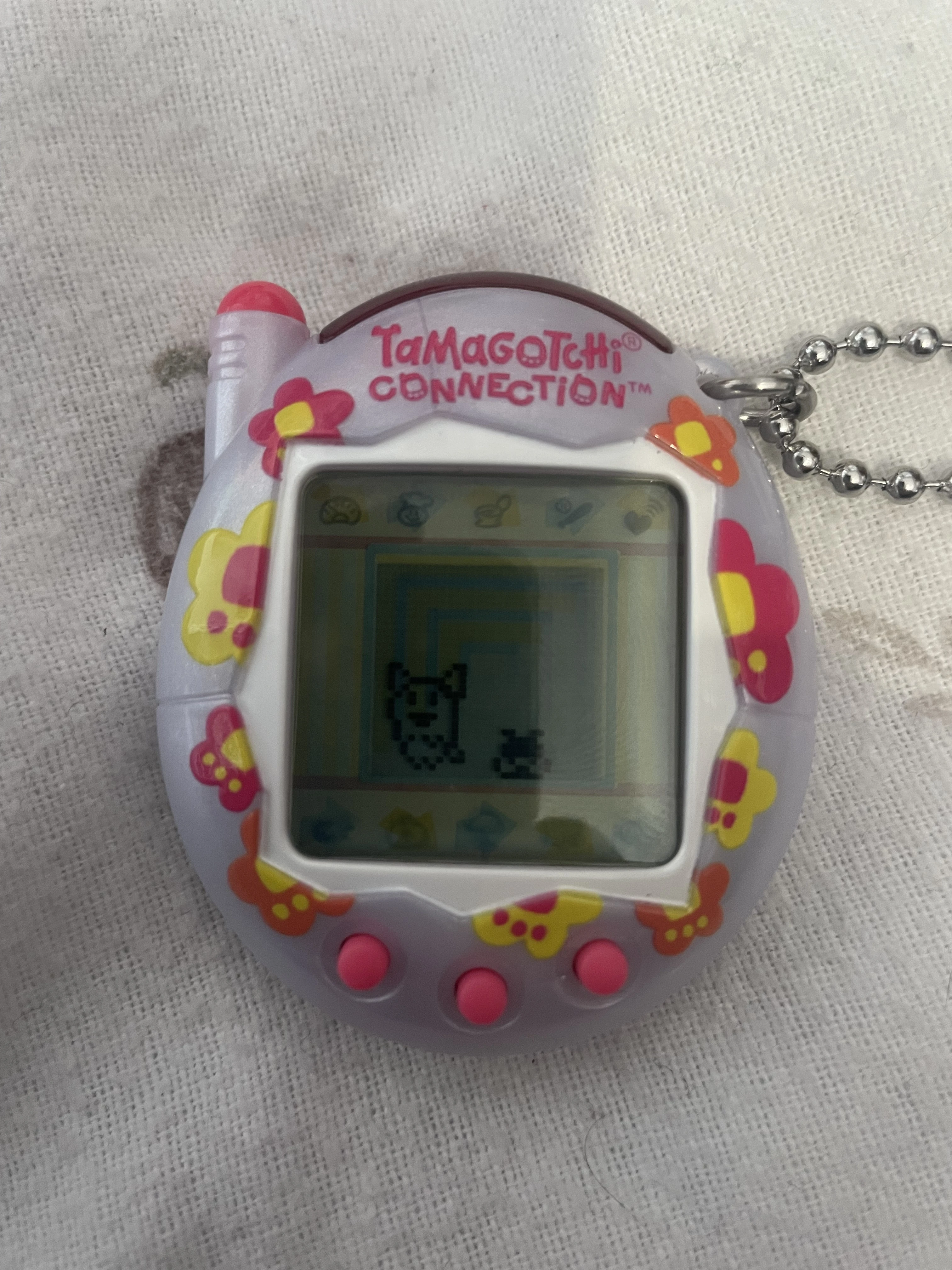 Some new generations have started! | Fandom