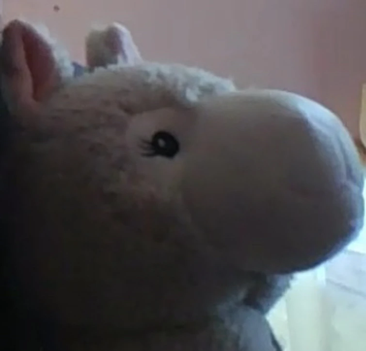 Stress llama will solve all your problems | Fandom