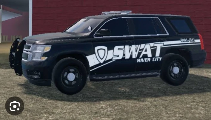 Something i've always been wondering about the LE teams' SWAT livery ...