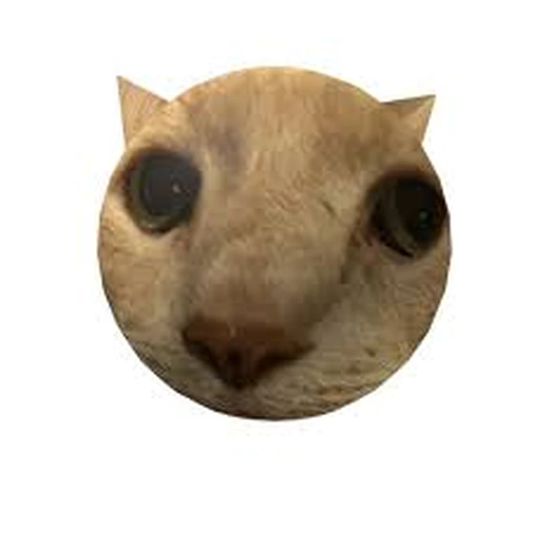 this is glorbus | Fandom
