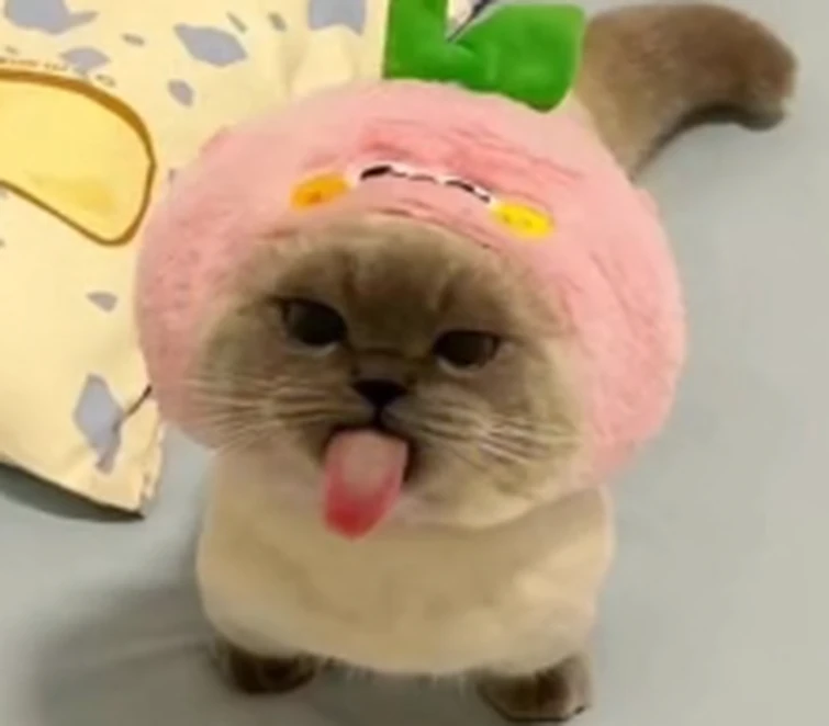 does this cat have a page? | Fandom