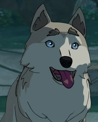 It's our favorite wolf's birthday! | Fandom