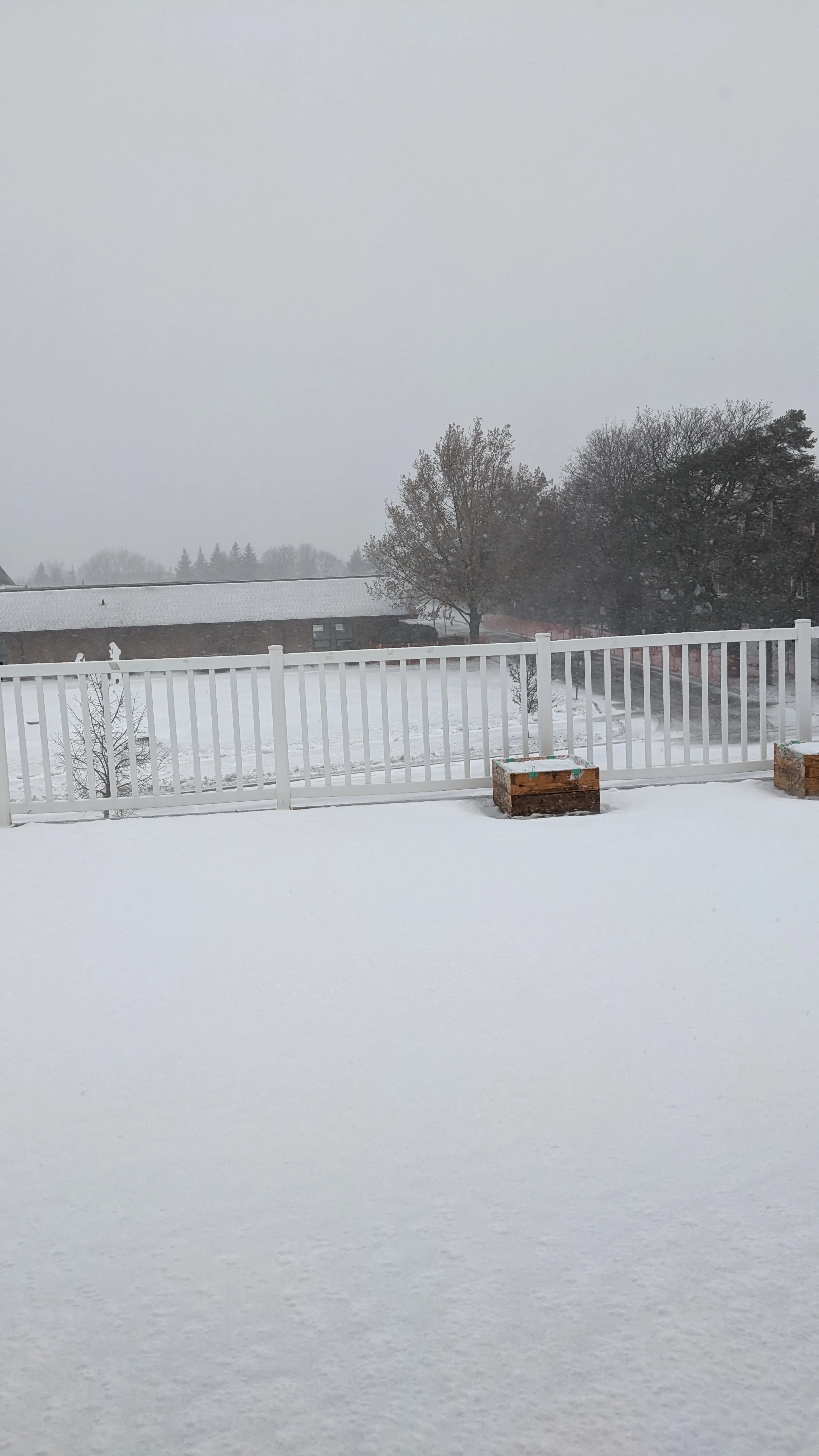 The weather in Canada rn | Fandom